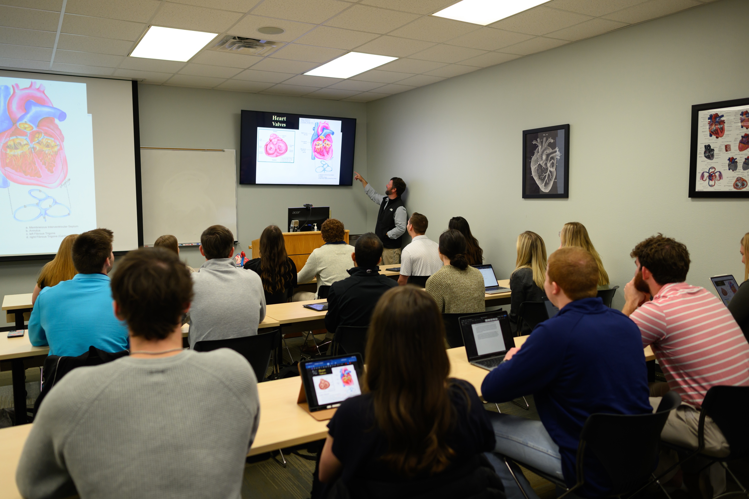 M.S. in Cardiac Function & Interventional Technology | Harding