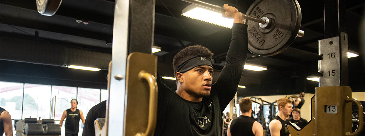 Exercise Sports Undergraduate Programs | Harding