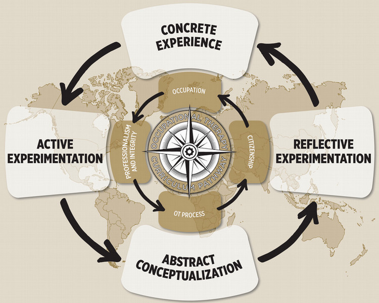 Curriculum | M.S. in Occupational Therapy