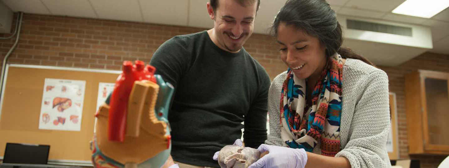 Biology Department | Academic Programs, Faculty, Research | Harding
