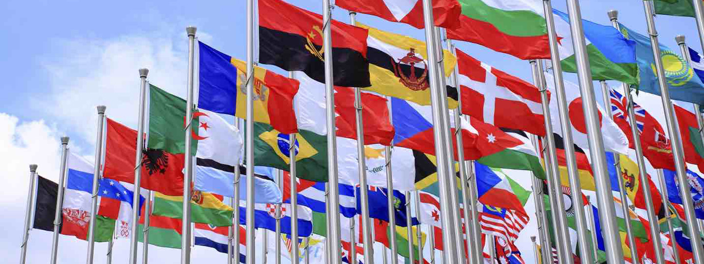 Meet the Foreign Languages Department Faculty | Harding