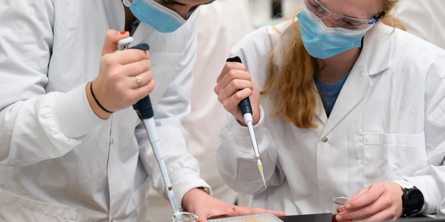 Intersession and Summer School | Essential Dates and Info | Harding