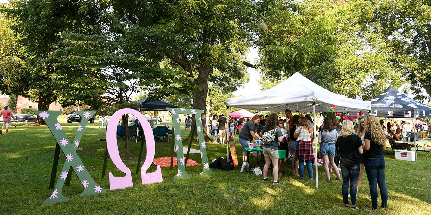 Tailgate HU | Harding