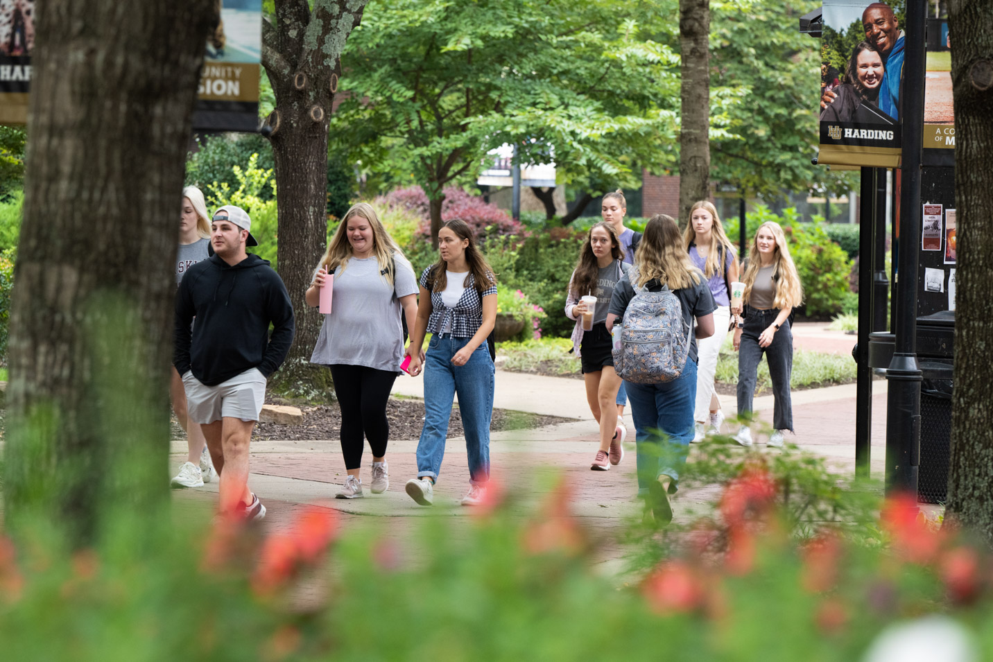 Where to Give | Harding