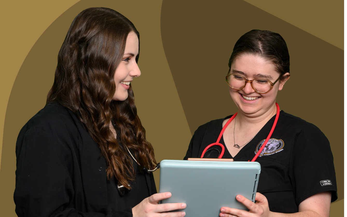 Master's Entry into Professional Nursing | Non-Majors MSN